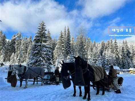 동유럽 자동차 여행폴란드 여행 자코파네 2일차모르스키에 오코20221213 네이버 블로그