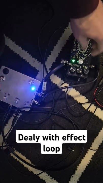 Delay Pedal I Designed With Infinite Switch And Effect Loop Diypedals