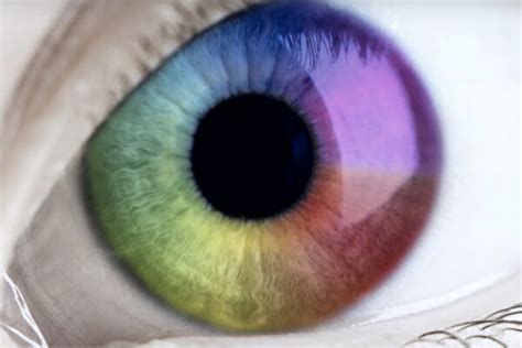 Machine Vision Startup Secures Funding For Bio Inspired Sensor