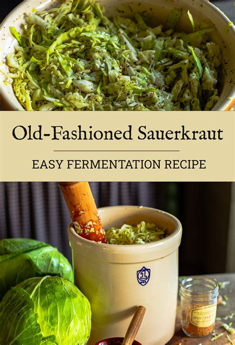 How To Make Old Fashioned Sauerkraut In A Crock Easy Fermentation