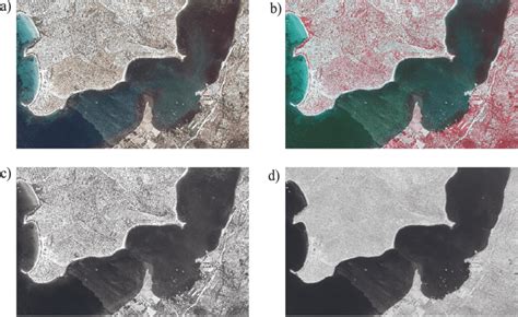 The A Rgb B Color Infrared C Grayscale And D Fake Infrared Download Scientific Diagram