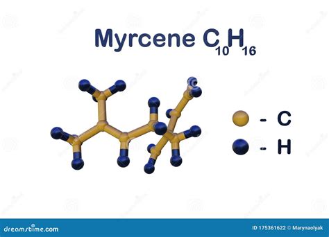Structural Chemical Formula And Molecular Model Of Myrcene The Most