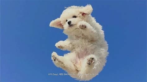 Playlist 장르 안따지고 기분 좋아지는 몽글몽글 국내 노래모음 적당히 둠칫해서 오히려 좋은 노동요 카페 매장음악 플레이리스트 Youtube Music