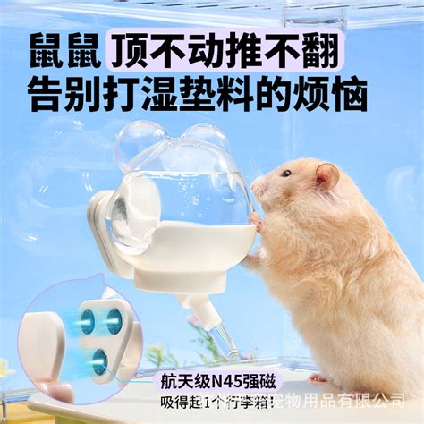 卡诺仓鼠磁吸水壶：宠物喝水新革命，荷兰猪蜜袋鼯的最爱！ 鼠类喂食器 淘宝好物网