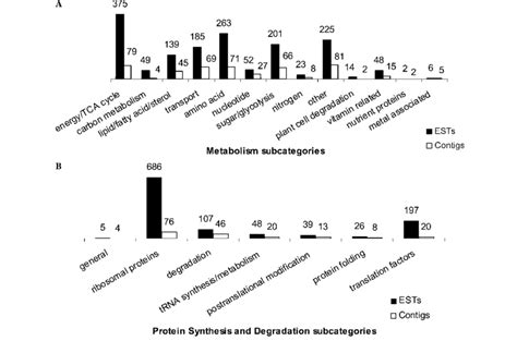 Distribution Of Diploid Filament Contigs And Ests Numbers Of Contigs