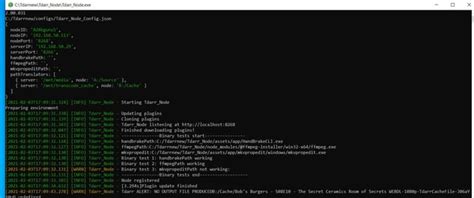 Windows 10 Node Not Working Rtdarr