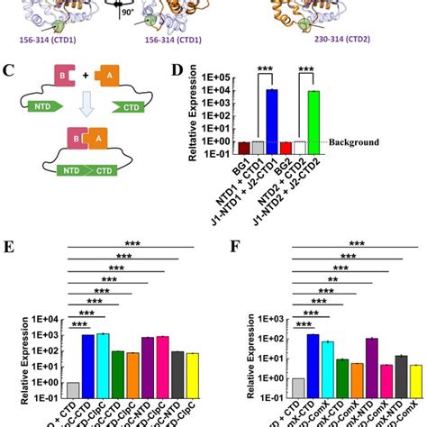 Development Of A Split Luciferase Complementation Assay A And B
