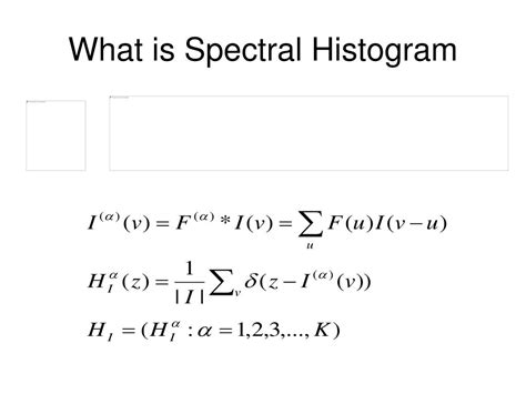 ppt face detection using the spectral histogram representation