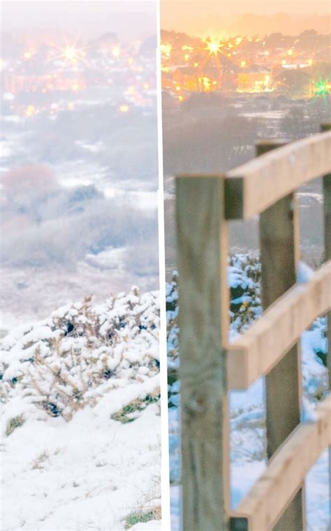 the left side of the image shows the tonemapped foreground depth slice