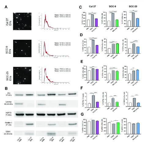 A Identification Quantification And Characterization Of