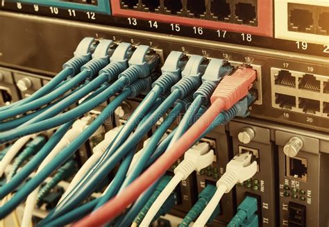 Ethernet Cables And Network Switching Hub Lan System Communication Stock Image Image Of