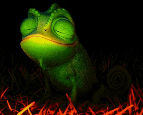 Pascal  On Tumblr