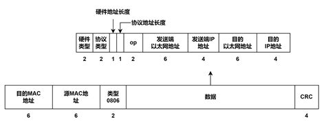 【linux网络】网络层ip和数据链路层 网络层如何知道对方的 csdn博客