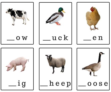 Day 9 Class 1 2 We Love Reading Summer Activities 9th May 2023