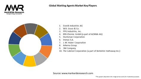 Global Matting Agents Market Analysis Industry Size Share Research