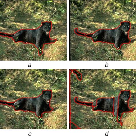 Segmentation Results By The Proposed Approach Based On Sdd Clustering