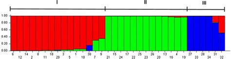 analysis performed using an admixture model in structure 2 3 4 software
