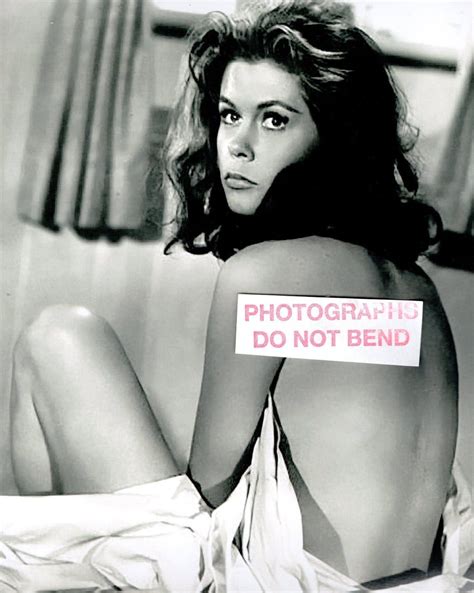 X Photo Elizabethmontgomery Pretty Sexy Tv Star Before Etsy Australia