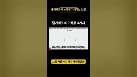 줄기세포의 오작동 3가지 줄기세포의 자기 재생 능력 성체줄기세포란 무엇인가 노화란 무엇인가 줄기세포가 노화 및 노화 관련 질병에 기여하는 방법 Youtube