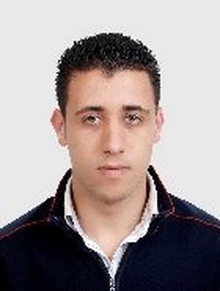 Mohamed El Mansouri Managem Smi Viadeo