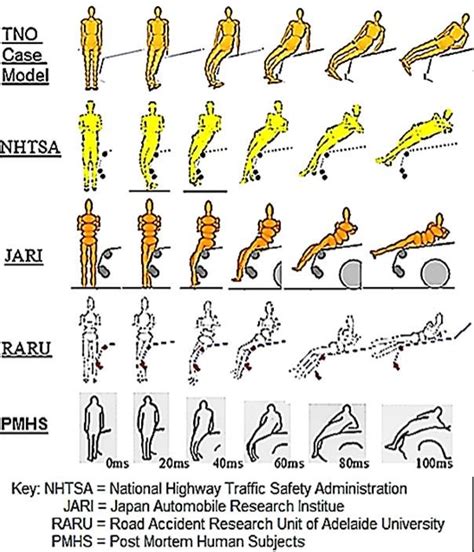 Kinematic Post Impact Fall Pattern Comparison Figure Adopted From 25