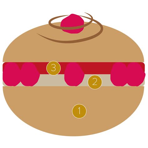 Raspberry Macaroon Satro Quality Drinks