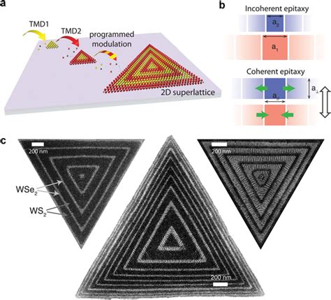 2d Monolayer Superlattices Based On Tmds A Schematic Of The Whole Download Scientific Diagram