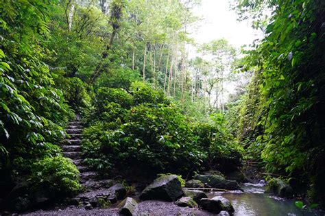 Leke Leke Waterfall Tall Hidden Waterfall With An Overhang