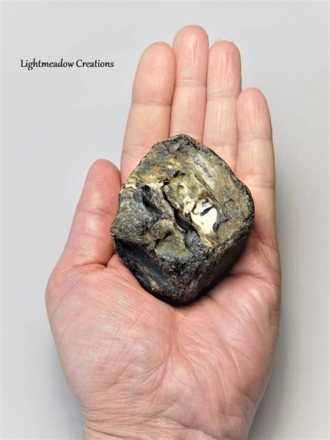 Natural Beautiful XXLarge Raw Agate Petrified Wood Stone