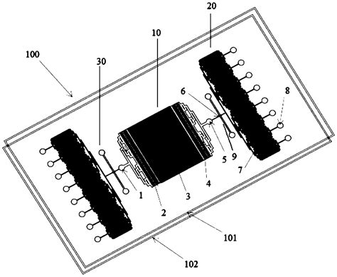 Microfluidic Chip Integrating Circulating Tumor Cell Capture Lysis And Nucleic Acid Detection