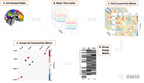 Fmri预处理和统计分析 知乎