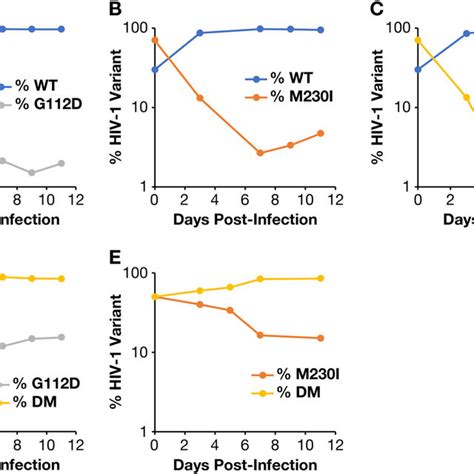 Pdf Two Co Selected Distal Mutations In Hiv 1 Reverse Transcriptase Rt Alter Susceptibility
