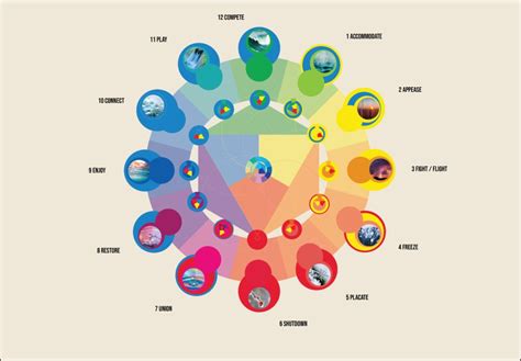 Internal Autonomic Conflict Craft Of Being