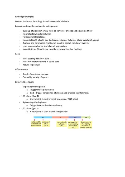 Pathology Examples Pathology Examples Lecture 1 Ocular Pathology