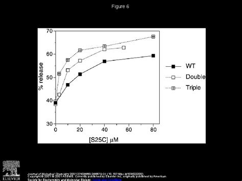 Calcium Regulation Of Exocytosis In Pc 12 Cells