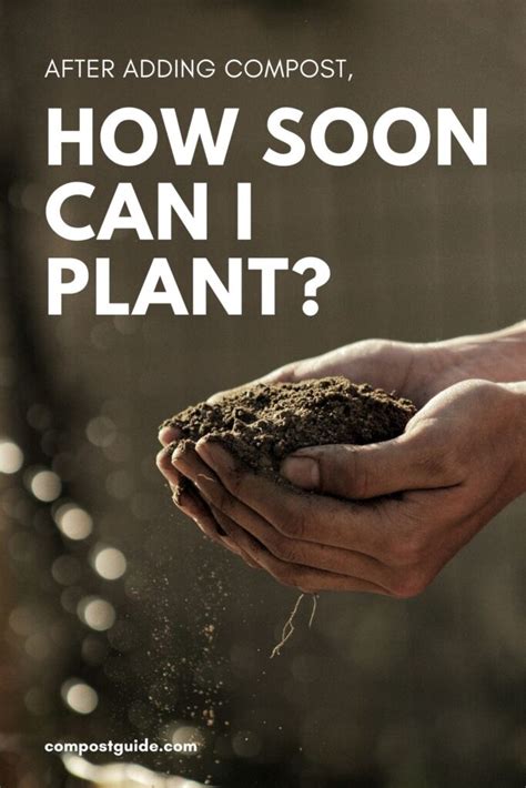 How Soon Can I Plant After Adding Compost Compost Guide