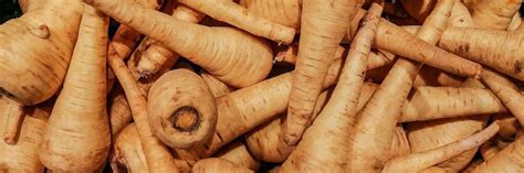 Parsnip Seeds Canada Seedfully