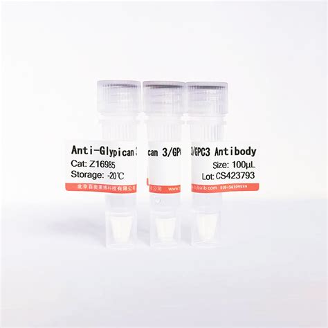 Glypican 3gpc3抗体