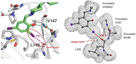 Hydrogen Bond Analysis And Electron Density Mapping Wuxi Biology