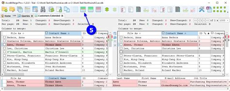 Compare Query Results Accdbmerge