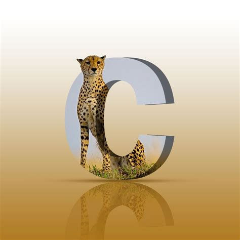 3d Letter Manipulation In Photoshop Kavya Pal