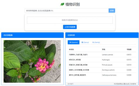 个人开源项目 基于图像的植物识别 采石工