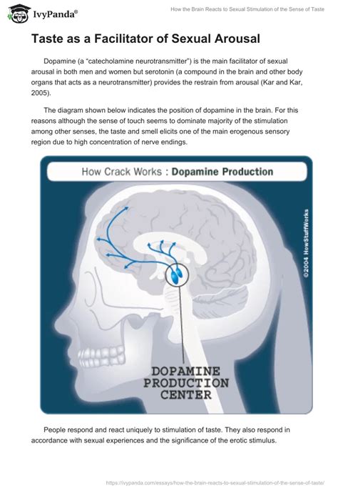 How The Brain Reacts To Sexual Stimulation Of The Sense Of Taste Words Research Paper