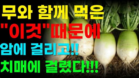 무와 절대로 함께 먹지 마세요 암과 치매에 걸릴 수 있습니다 무와 최악의 궁합 음식 3가지와 최고의 궁합 음식 3가지 효능건강정보 건강 운동 치매예방 Youtube