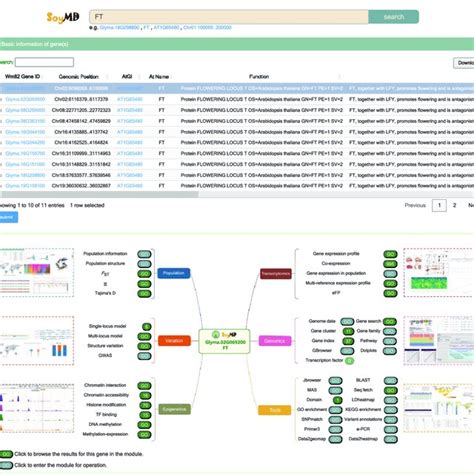 Pdf Soymd A Platform Combining Multi Omics Data With Various Tools For Soybean Research And