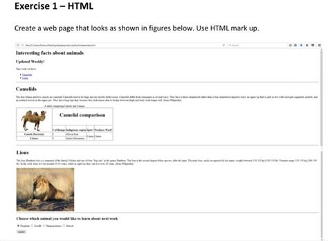 Solved Exercise 1 Html Create A Web Page That Looks As
