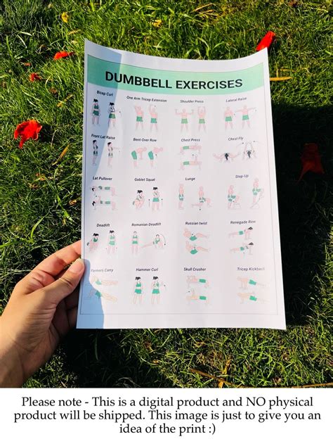 Dumbbell Workout Dumbbell Workout Chart Dumbbell Exercises Dumbbell