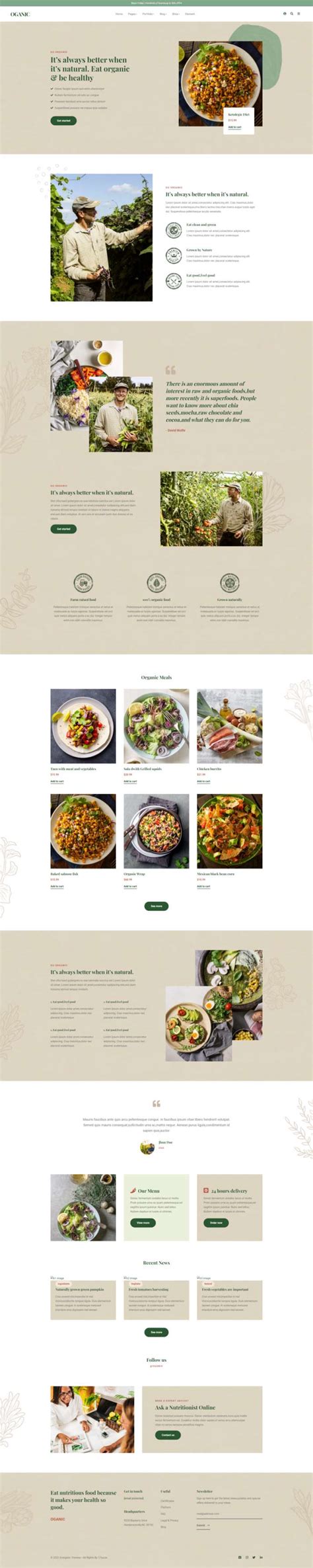 美食网页设计模板，有机食物商城网站下载 17素材网