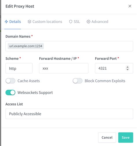 domain with source port · issue 1139 · nginxproxymanager nginx proxy