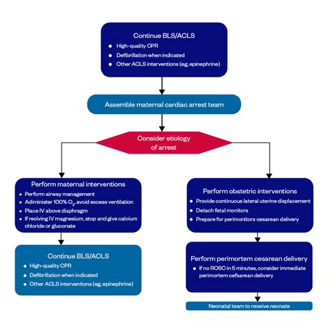 ACLS Algorithm Guide Simplify Life Saving Techniques
